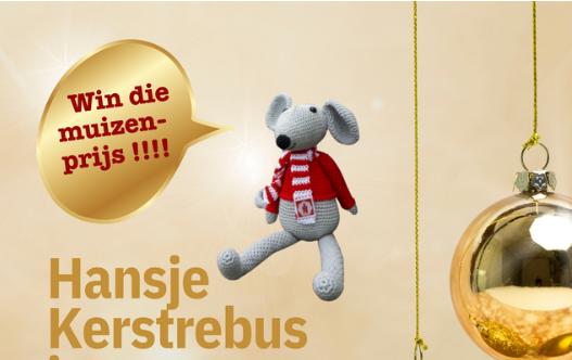 Hansje Kerstrebus in Museum Elburg: maak kans op de muizenprijs - Oozo.nl